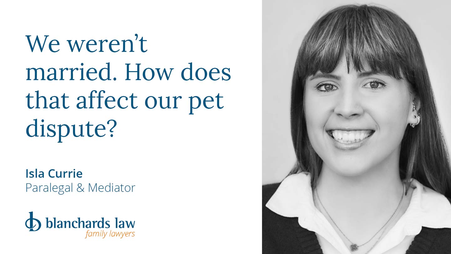 Pet Custody Henley & Marlow | Blanchards Law Firm